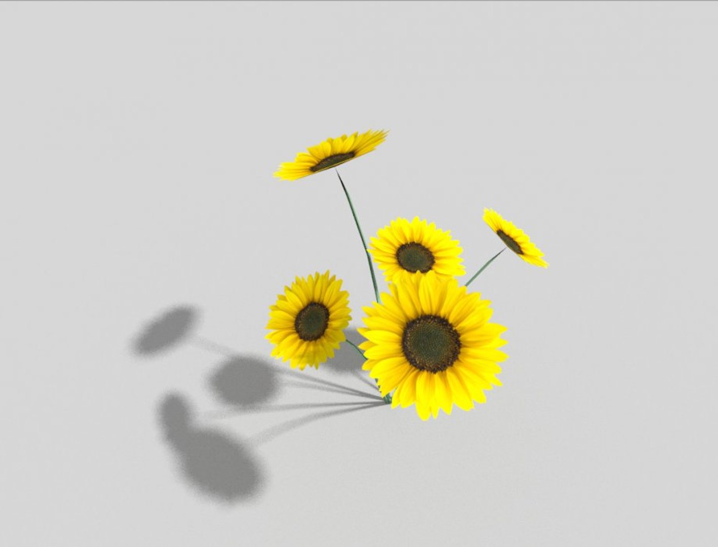 Flower Games 3d Model