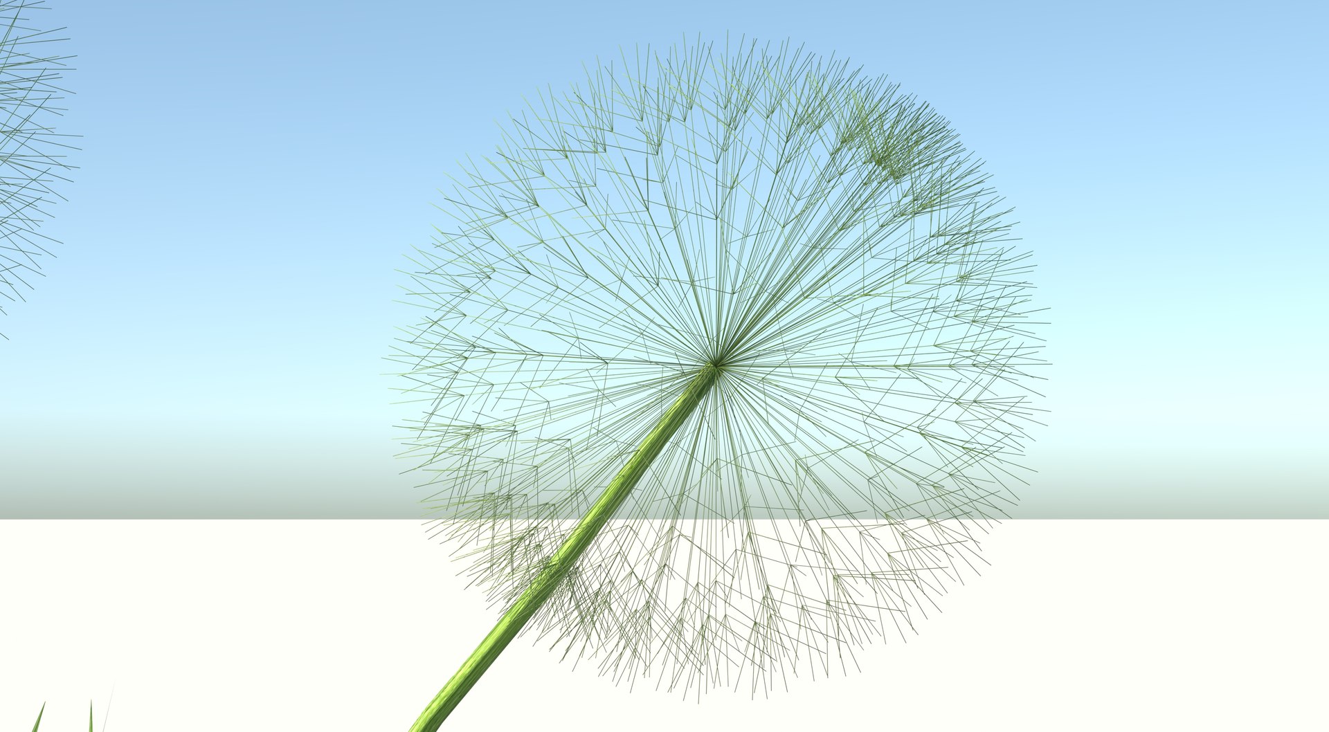 Ripe Dandelion Plant 3D Model - TurboSquid 1717322