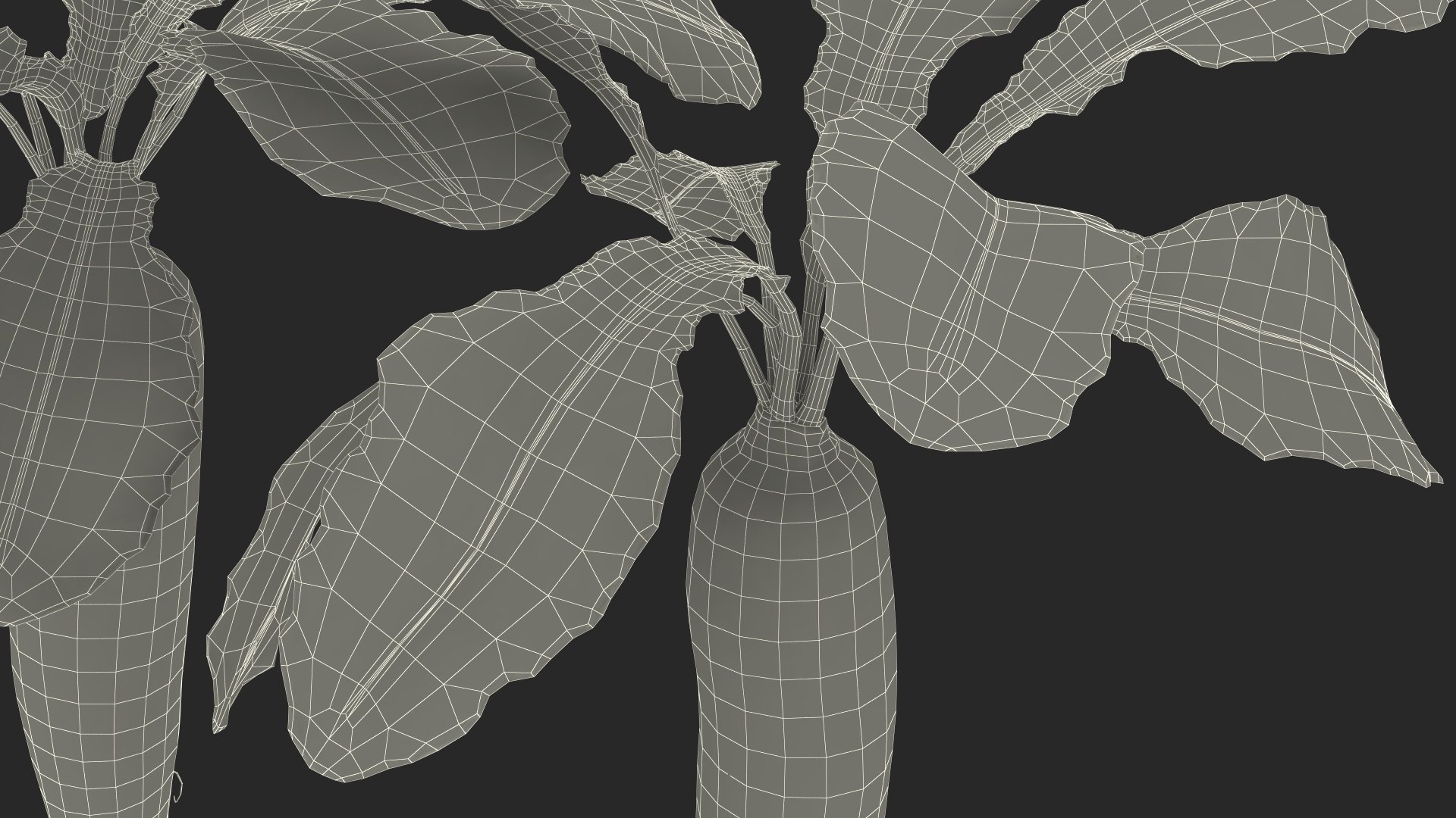 3D model Growing Daikon Winter Radish - TurboSquid 2086669