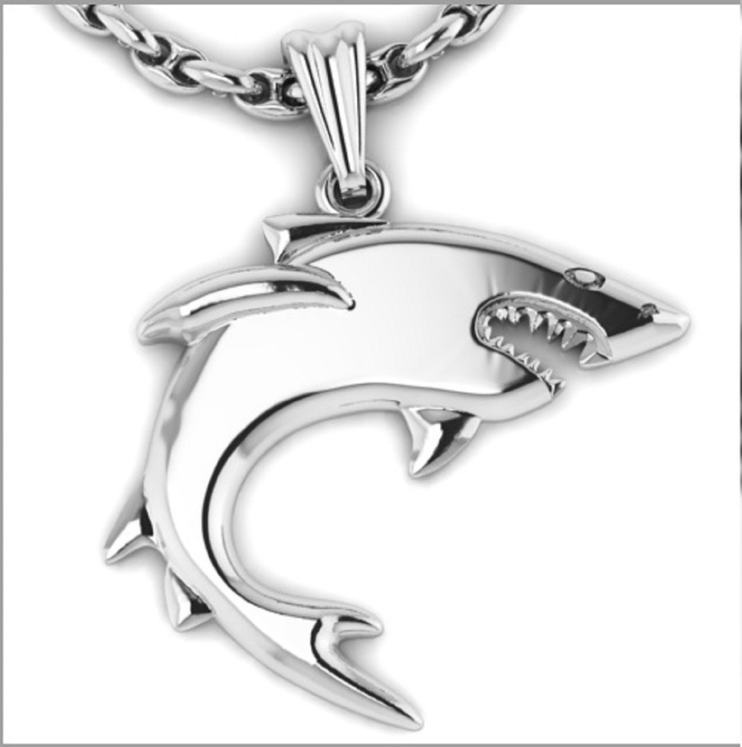3D Pendant Shark With Chain - TurboSquid 1968257