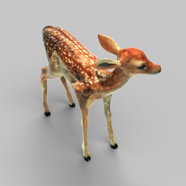 3D Fawn Models | TurboSquid