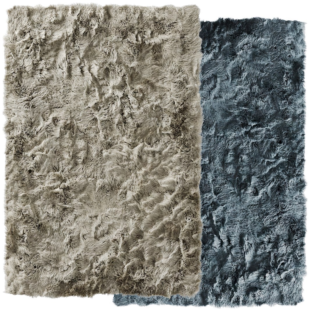 Ocean Shag Collection Safavieh 2 Colors Model - TurboSquid 2165537