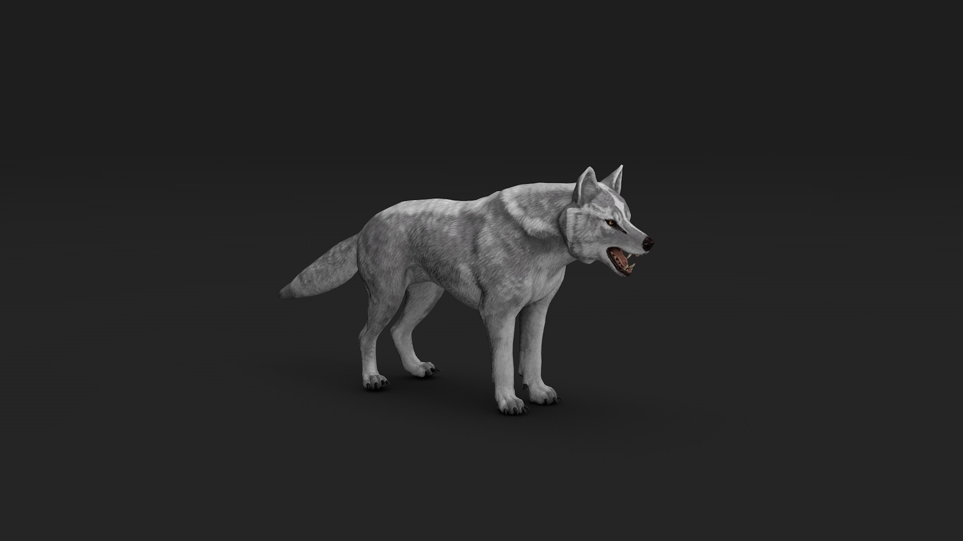 Wolf 3D Model - TurboSquid 1841994