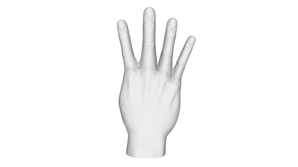modelo 3d Modelo de mano realista pose gesto 3 - TurboSquid 1974959