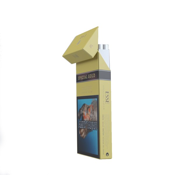 3d model opened cigarettes esse special
