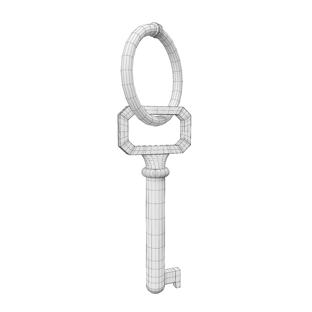 3D Dark Skeleton Key 3d Model Model - TurboSquid 1982380