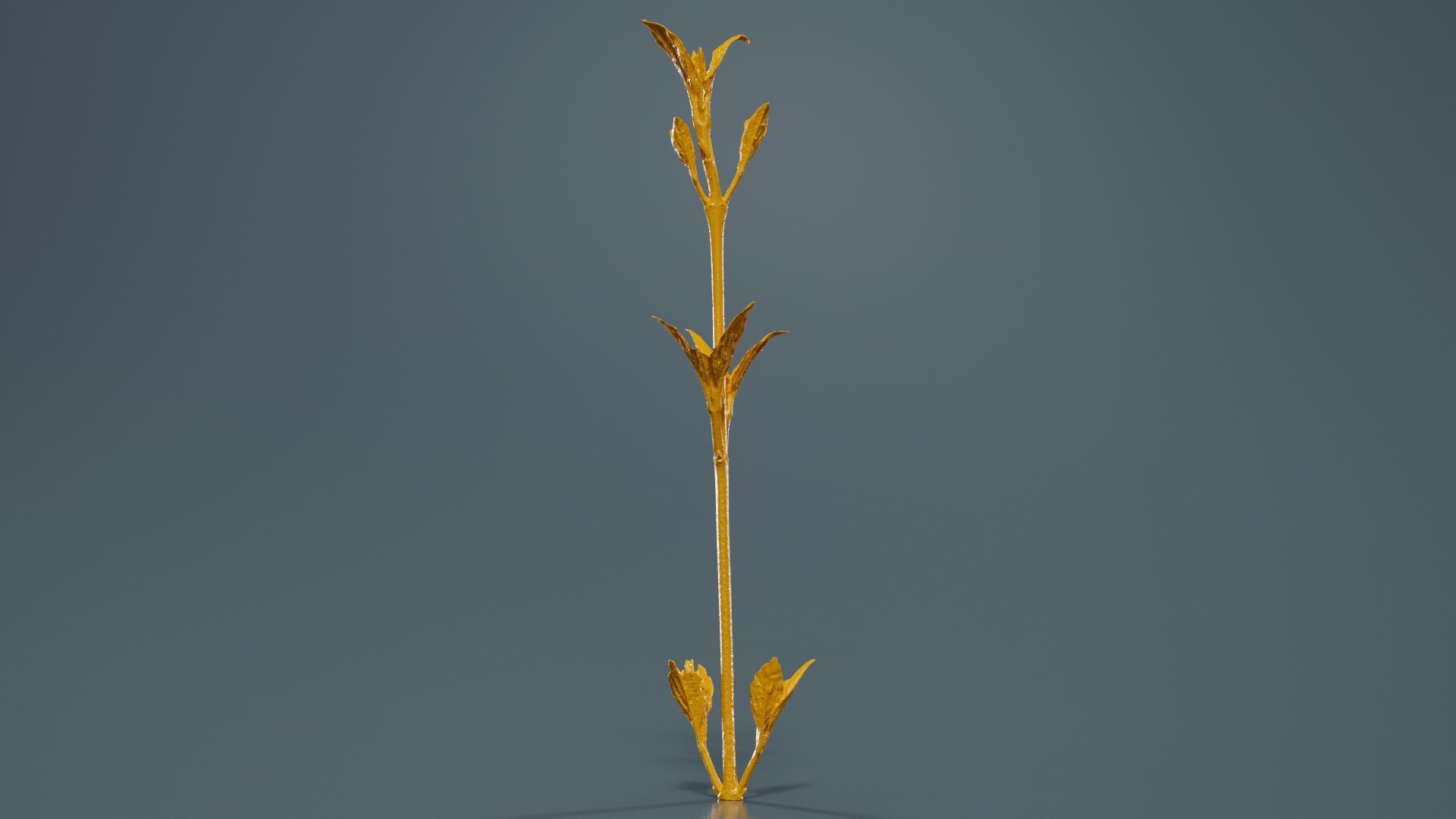 Cornus Mas Dogwood Cornaceae Sprout Remastered 3D - TurboSquid 2362669