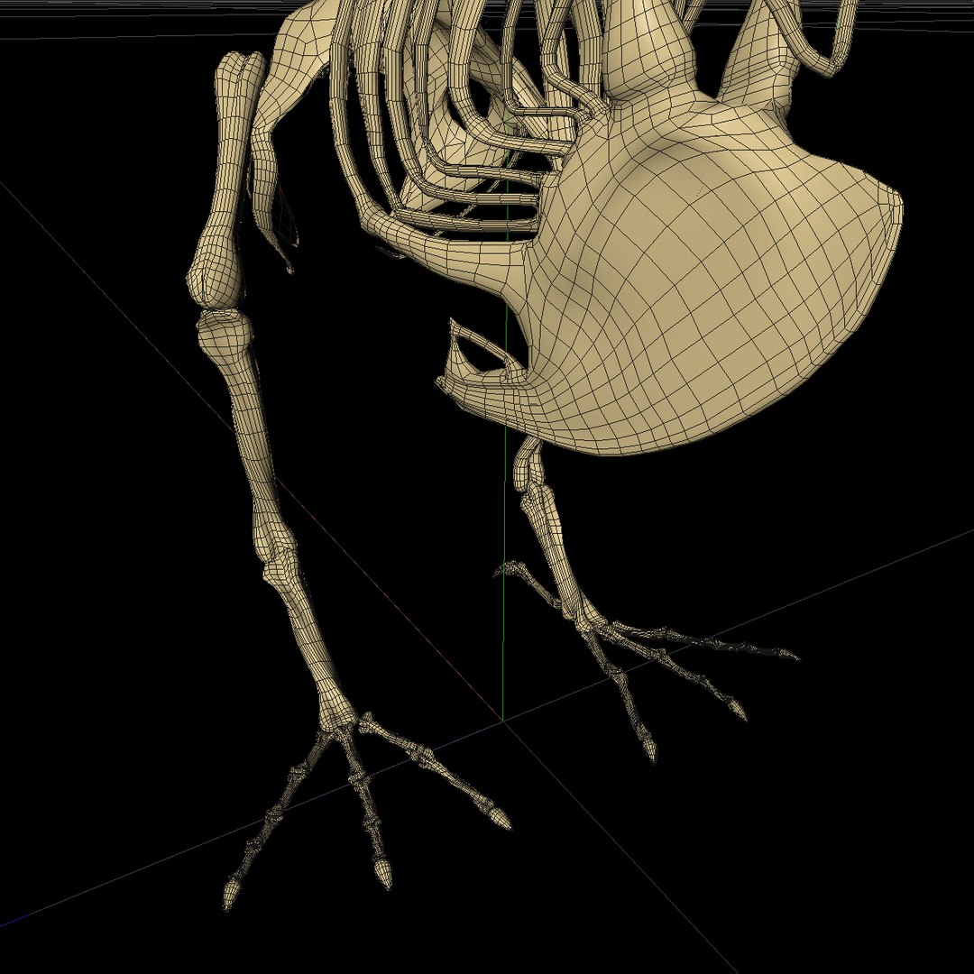 Bone Dove 3D - TurboSquid 1274230