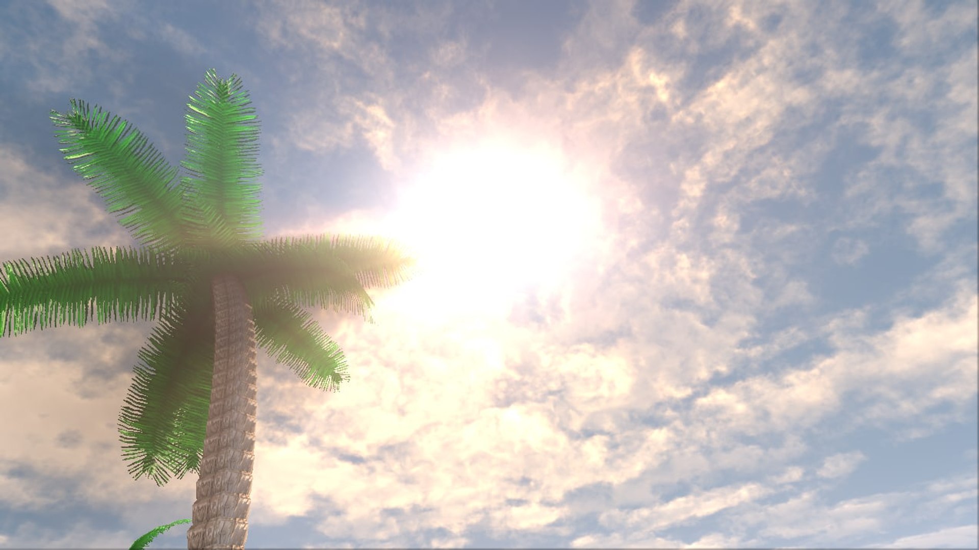3d Model Palm Tree