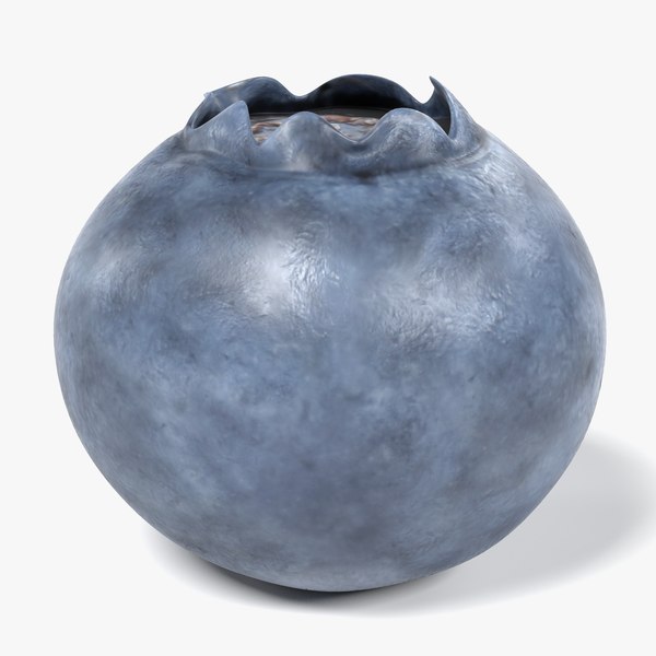 3D Blueberry Models | TurboSquid