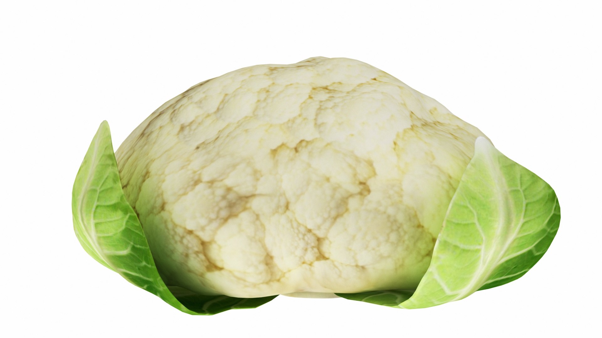 3D Model Cauliflower Flower - TurboSquid 1552930