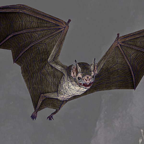vampire bat 01 3d model
