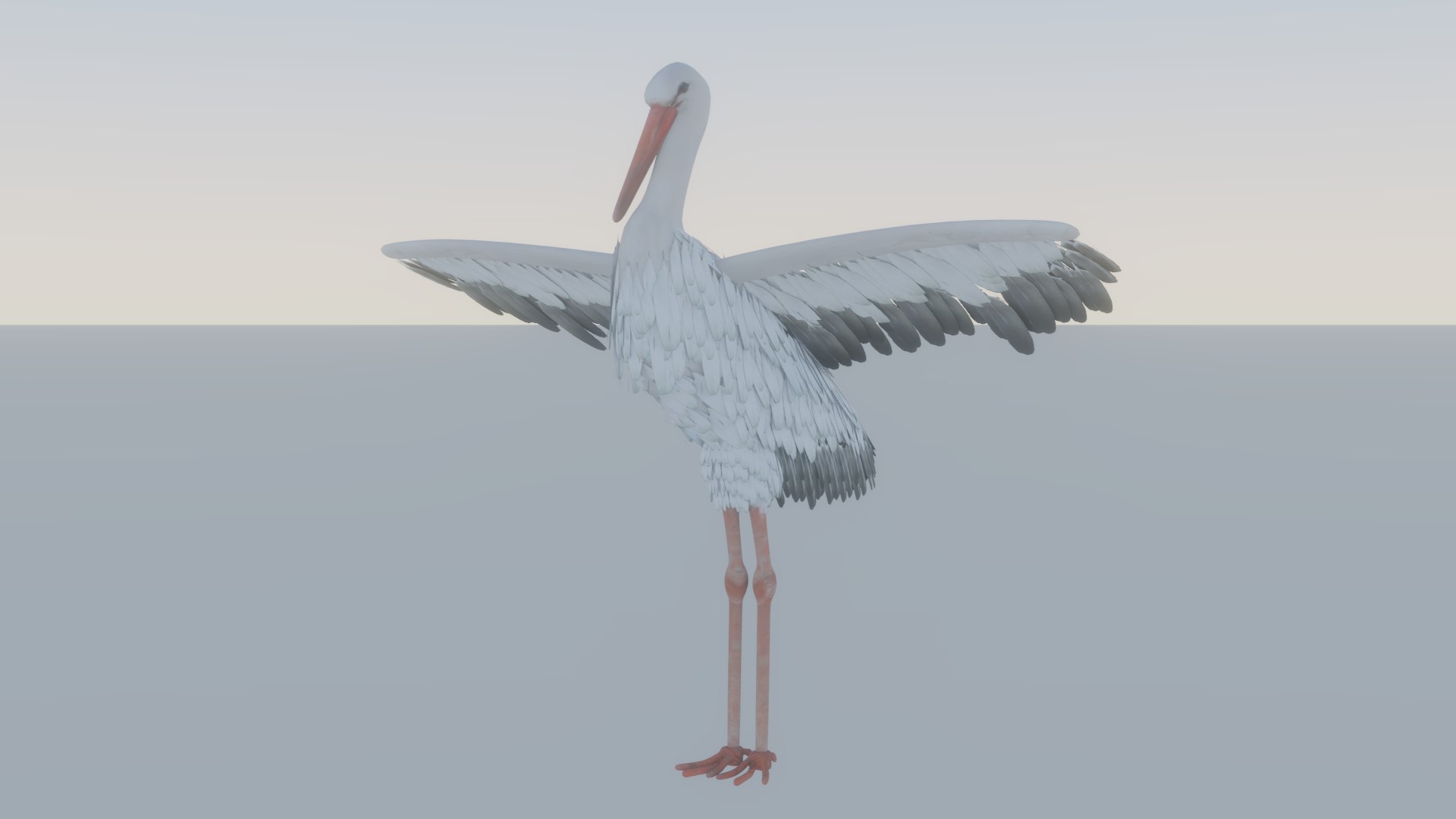 3D Stork - TurboSquid 2069758