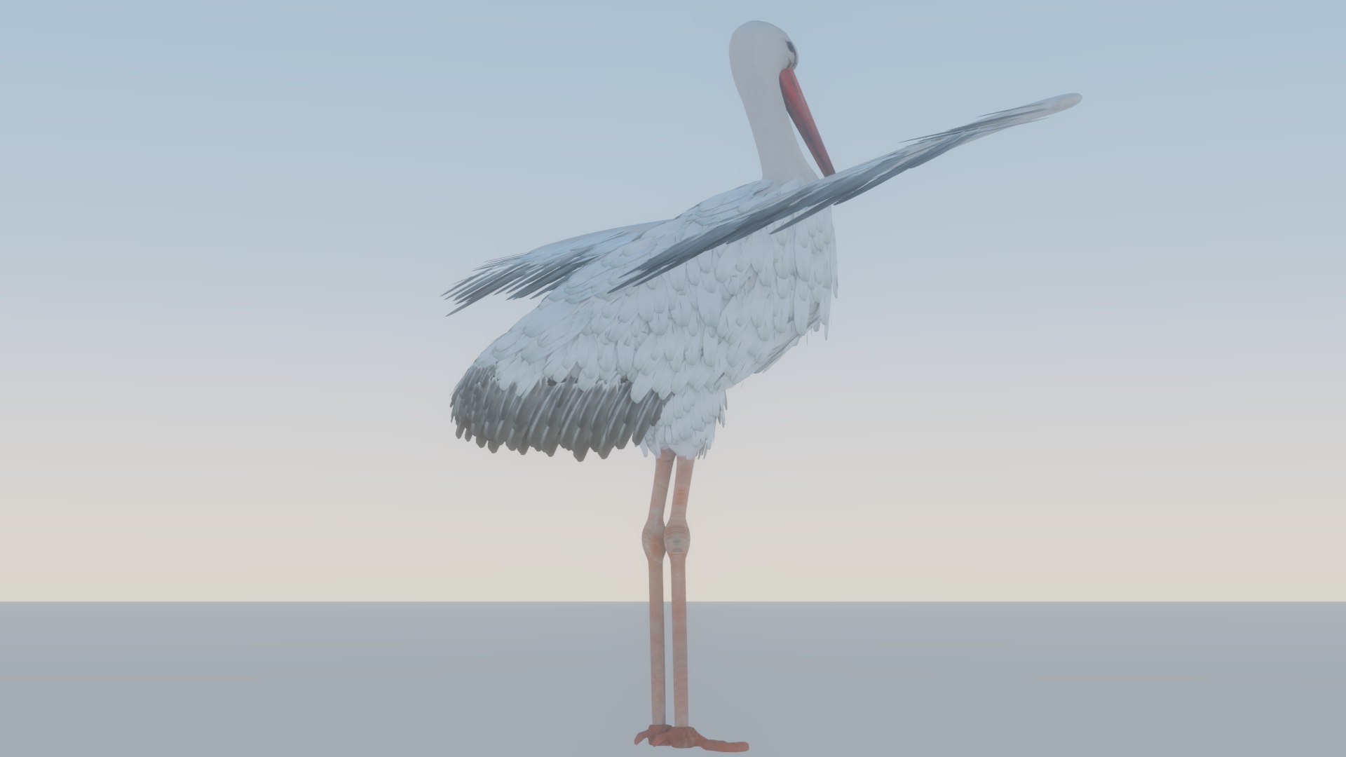 3D Stork - TurboSquid 2069758