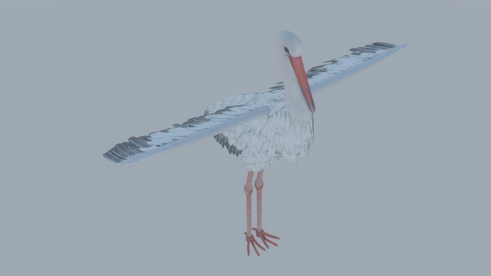 3D Stork - TurboSquid 2069758