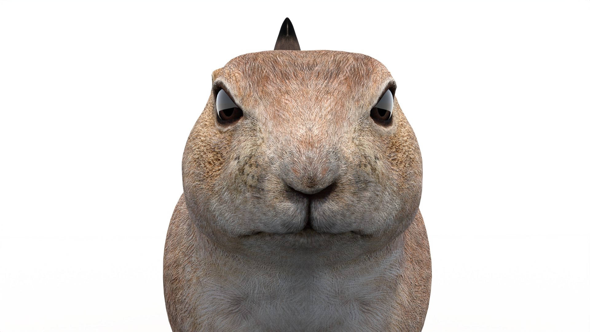 3D Rigged Prairie Dog 3D Model - TurboSquid 2275227