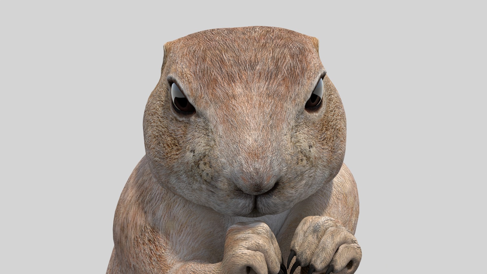 3D Rigged Prairie Dog 3D Model - TurboSquid 2275227