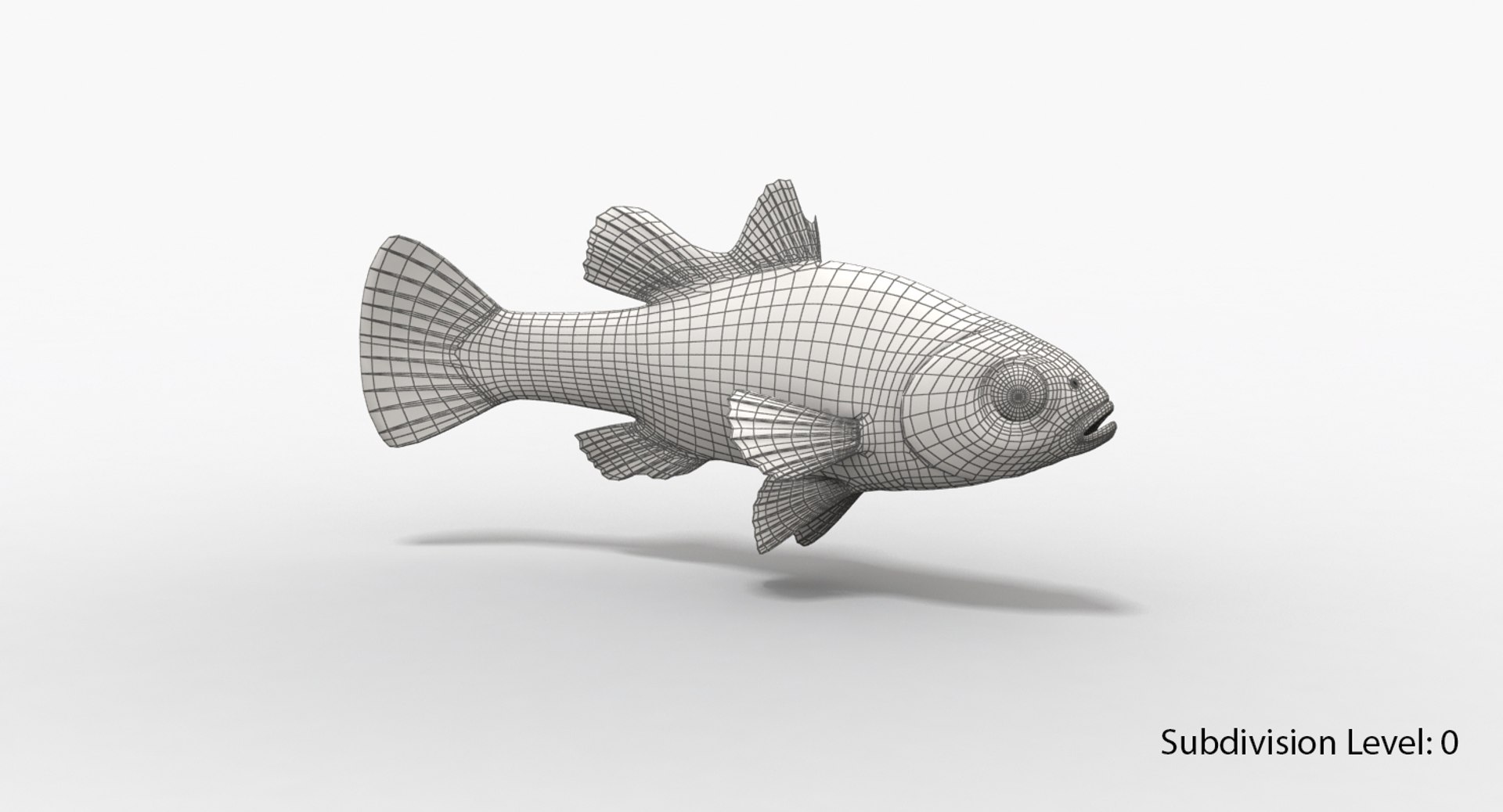 3D Southern Perch Animation - TurboSquid 1329662