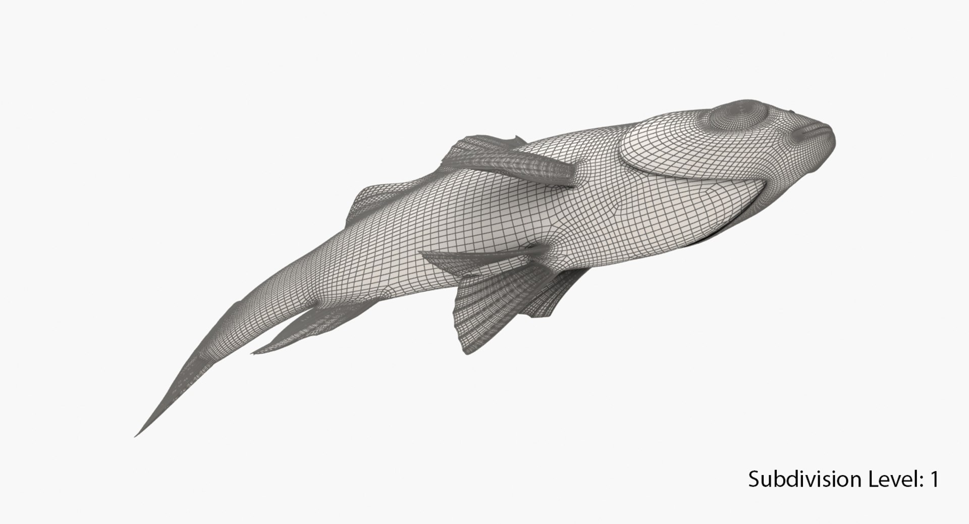 3D Southern Perch Animation - TurboSquid 1329662
