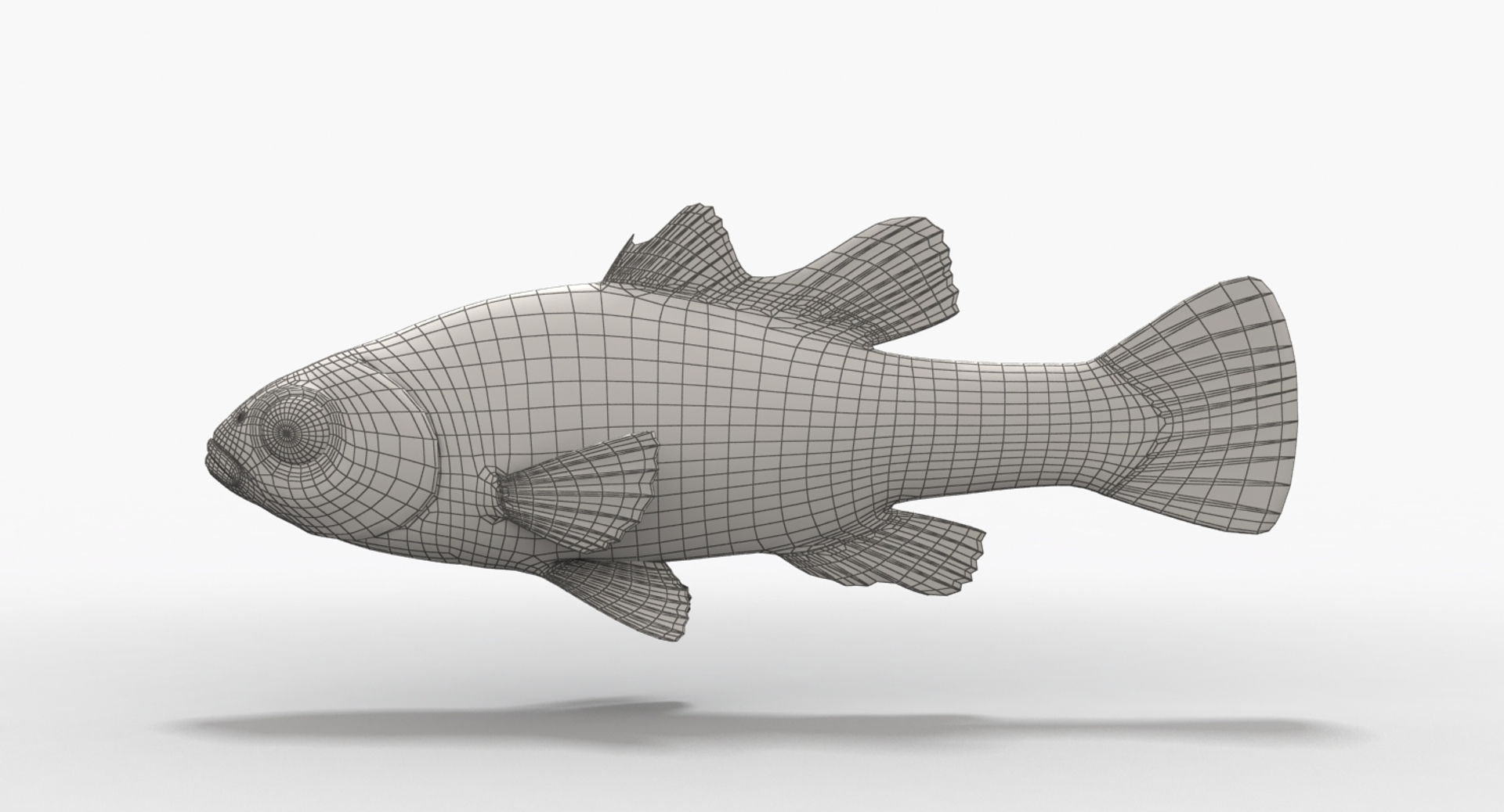 3D Southern Perch Animation - TurboSquid 1329662