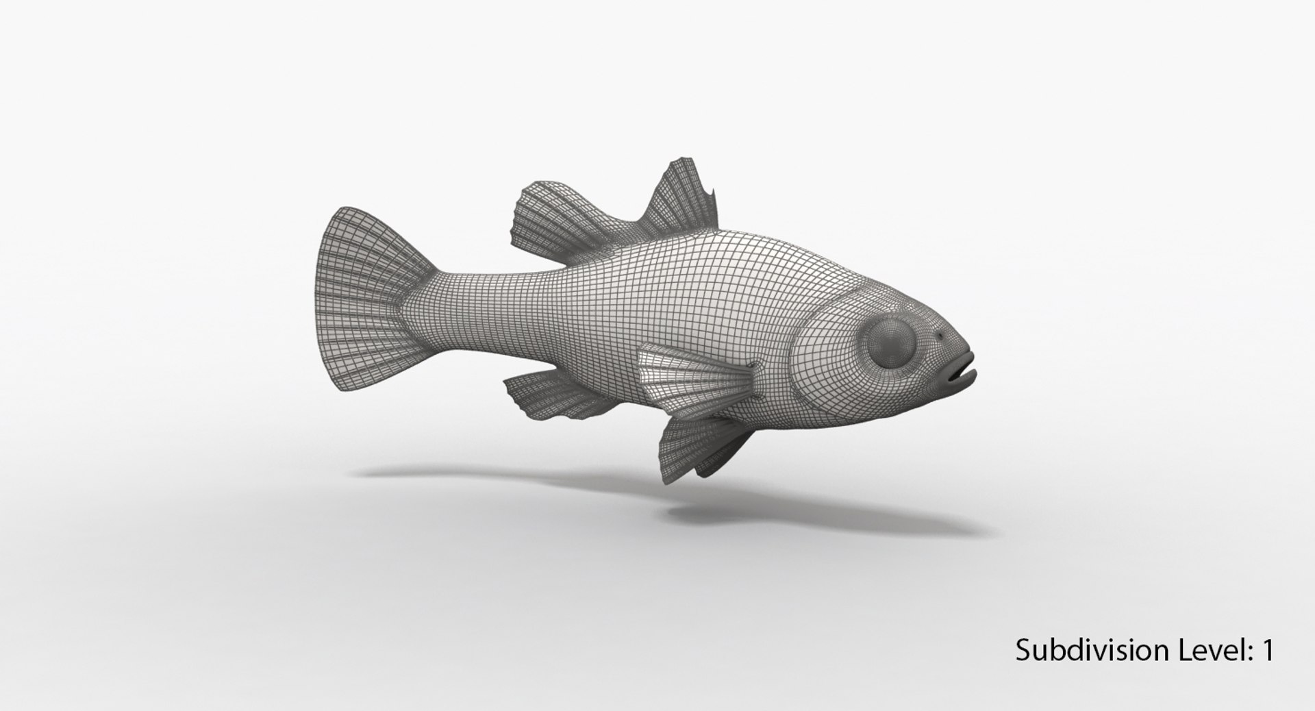 3D Southern Perch Animation - TurboSquid 1329662