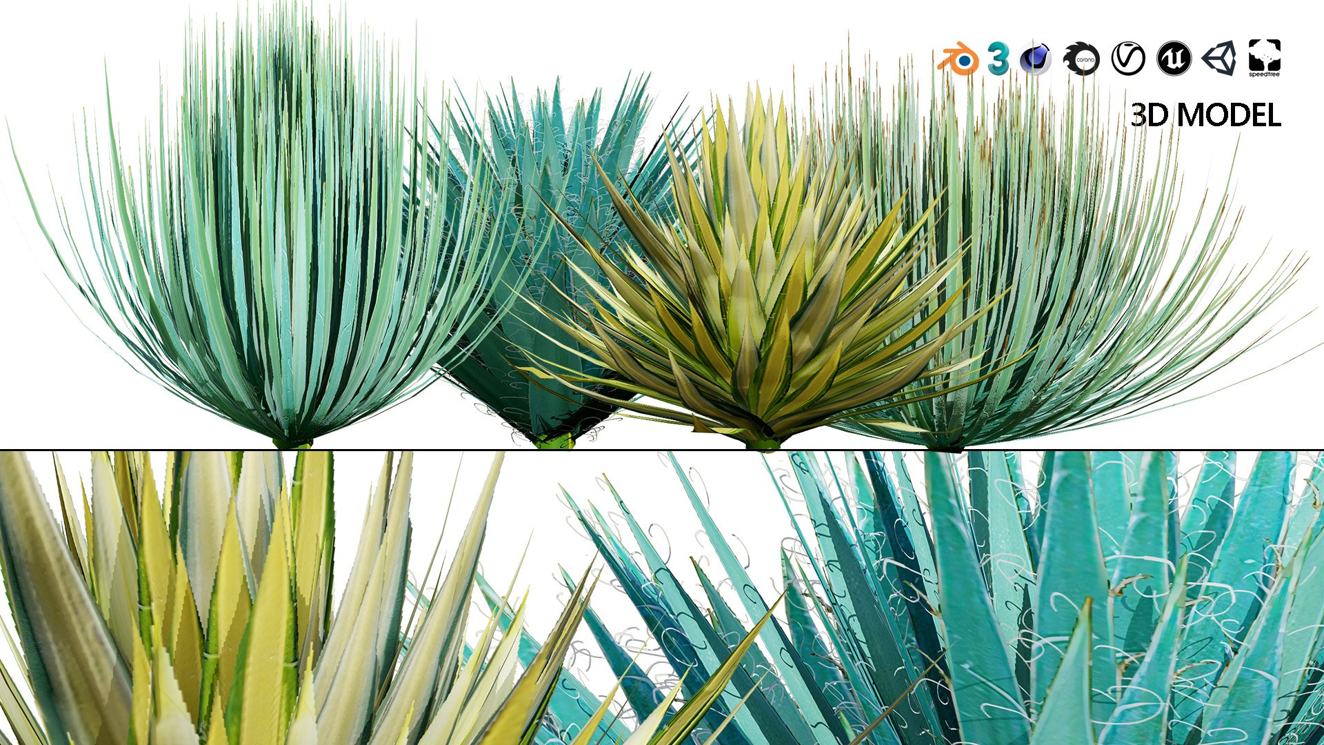 3D Desert Yucca 3D Asset - TurboSquid 2289607
