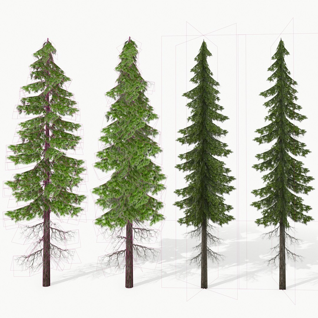 Pine Tree 3D Model - TurboSquid 1242038