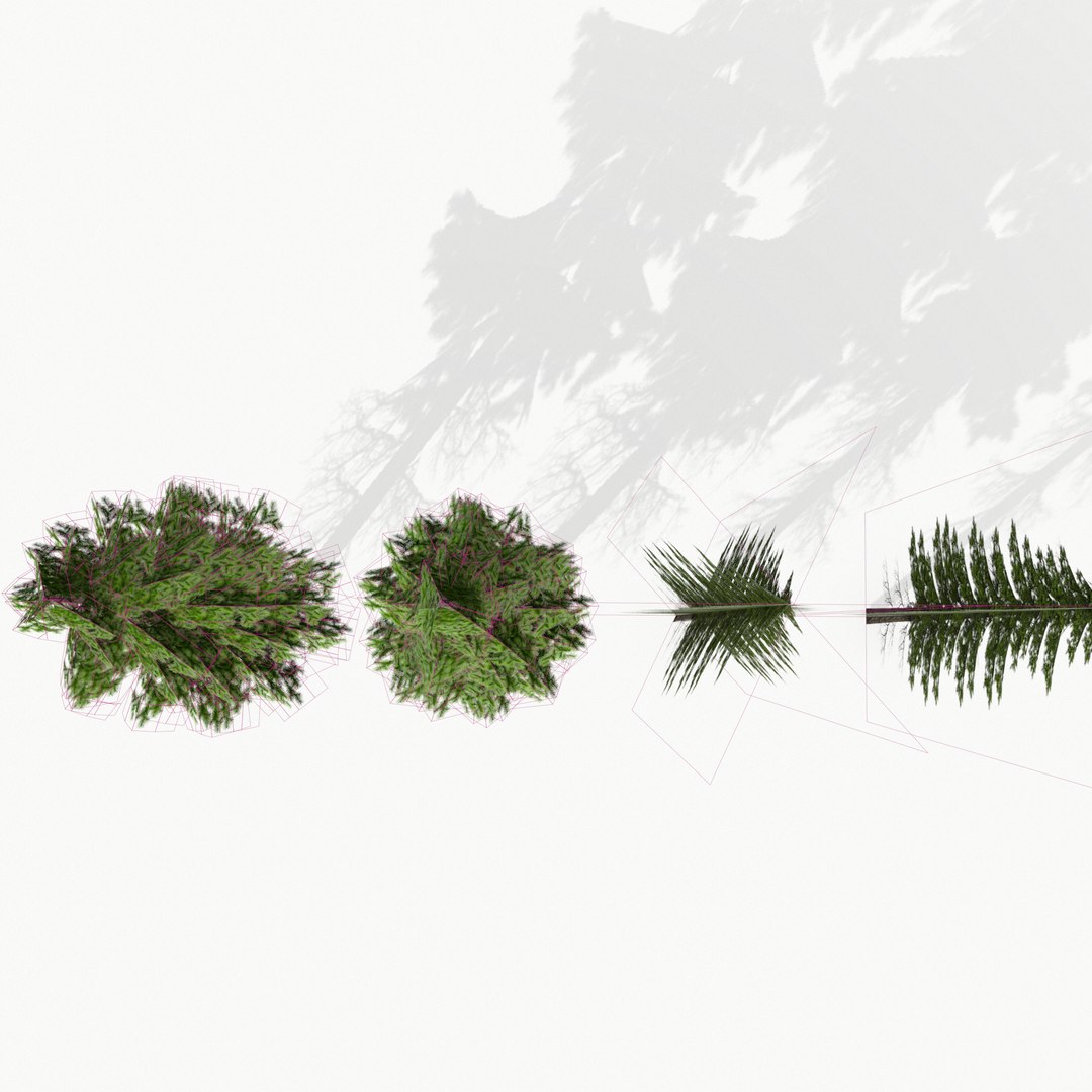 Pine Tree 3D Model - TurboSquid 1242038