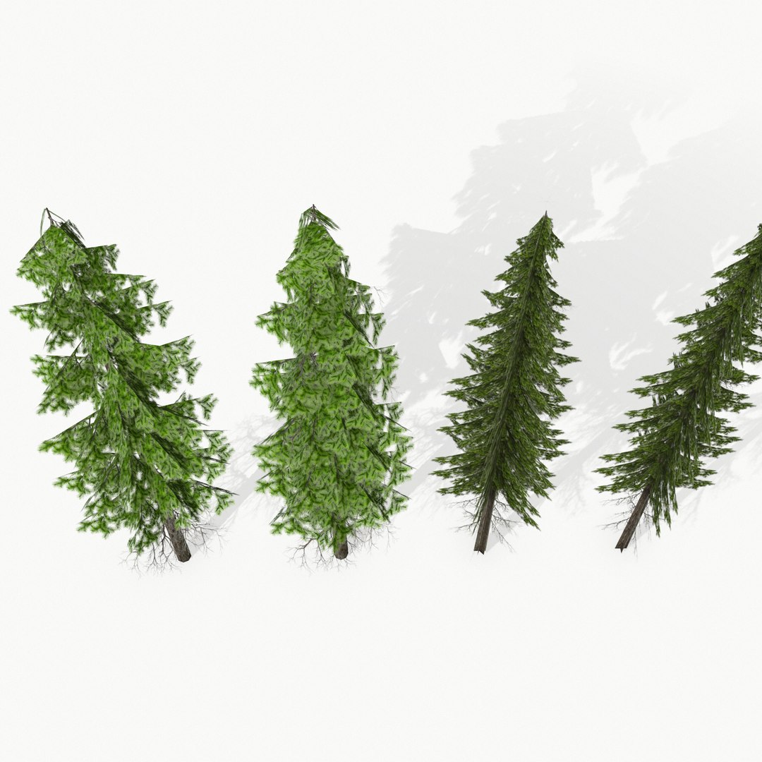 Pine Tree 3D Model - TurboSquid 1242038
