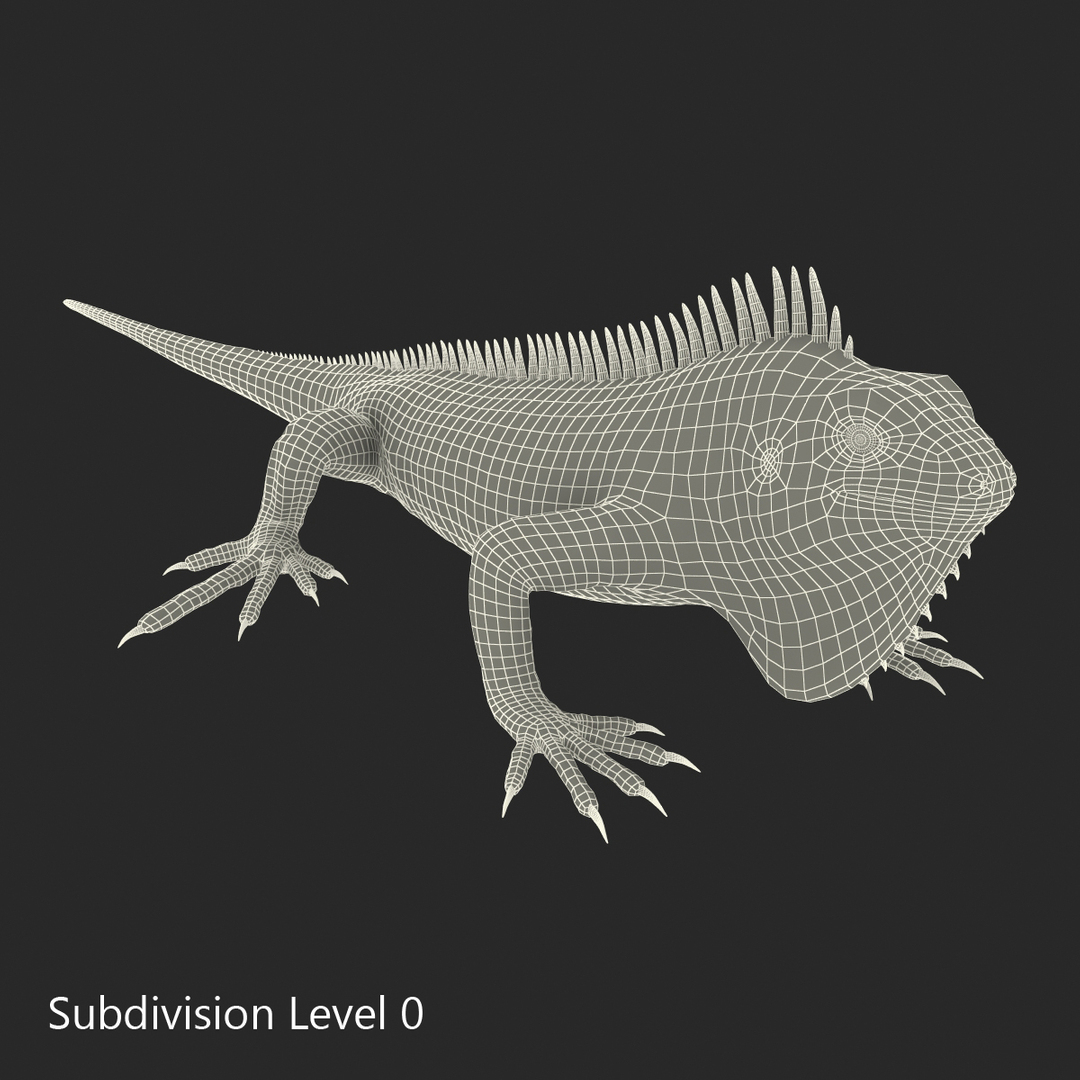 3D lizards rigged 2 - TurboSquid 1514887