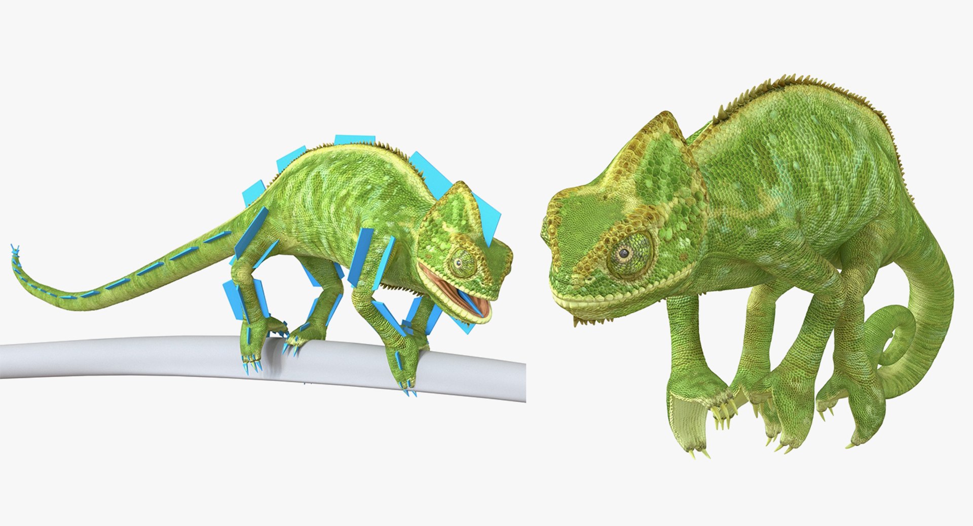 3D lizards rigged 2 - TurboSquid 1514887