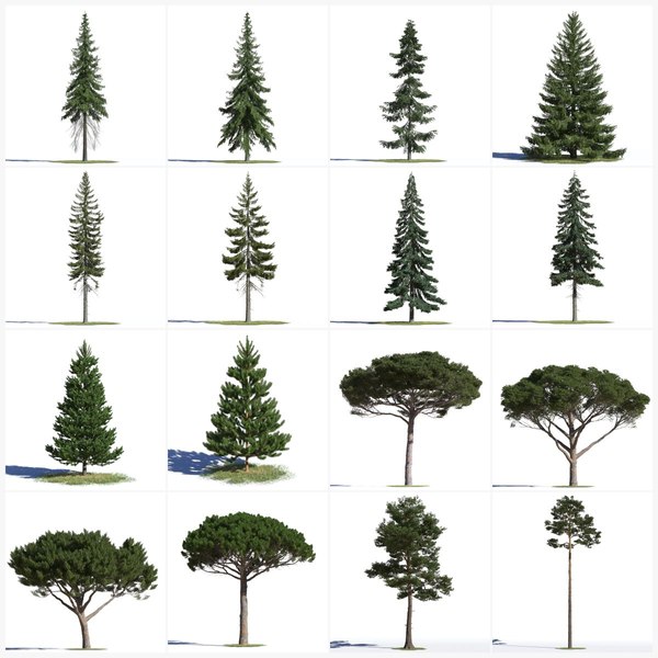 무료 Set of two pine trees 3D 모델 - TurboSquid 2027500