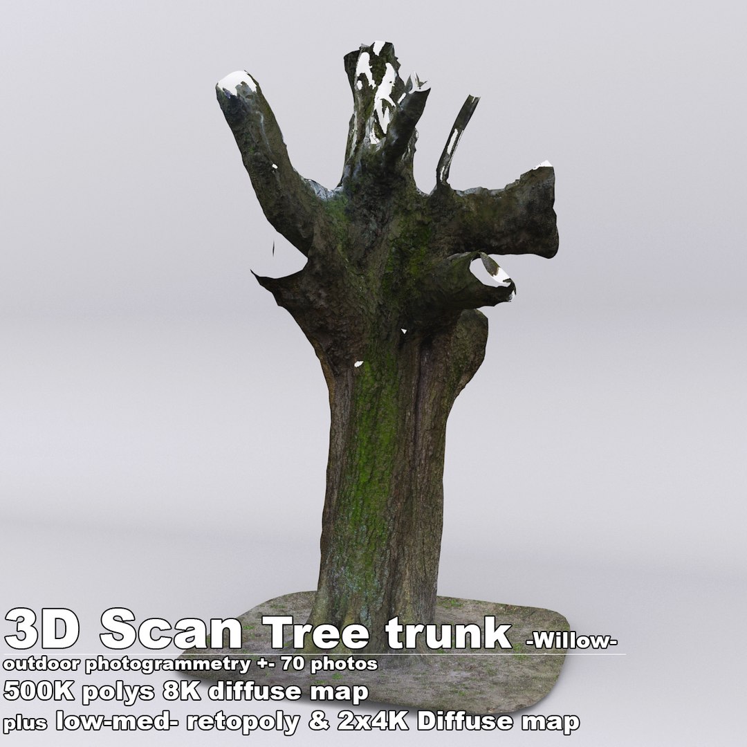 Obj Scan Tree Trunk