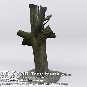 Scan Tree Trunk 3d Model