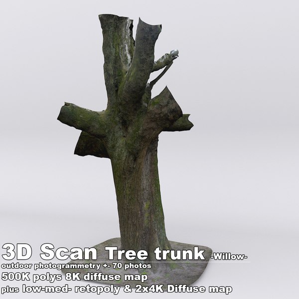 scan tree trunk 3d model