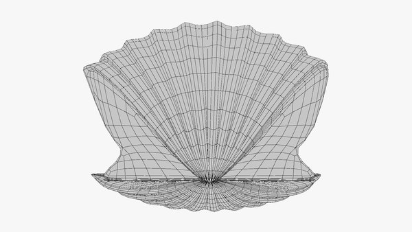 3D Seashell - TurboSquid 1732774