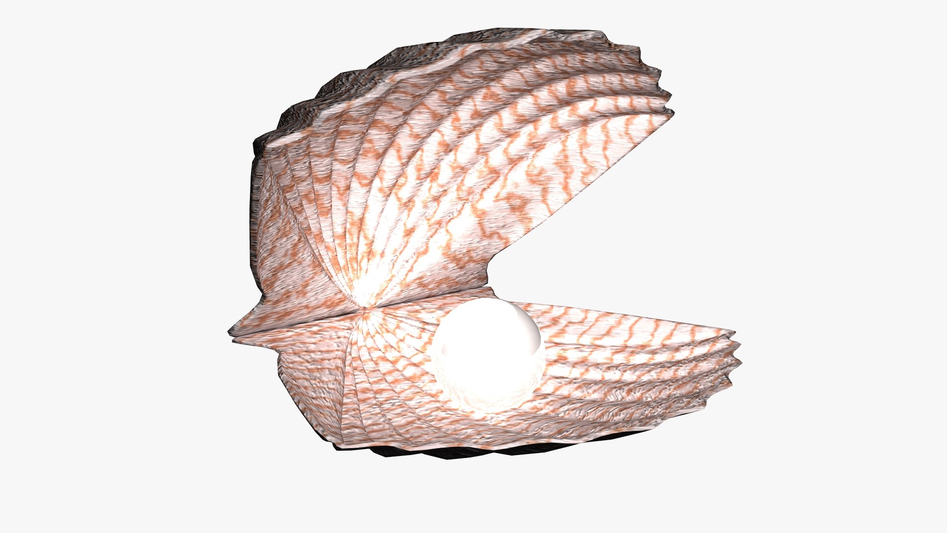3D Seashell - TurboSquid 1732774