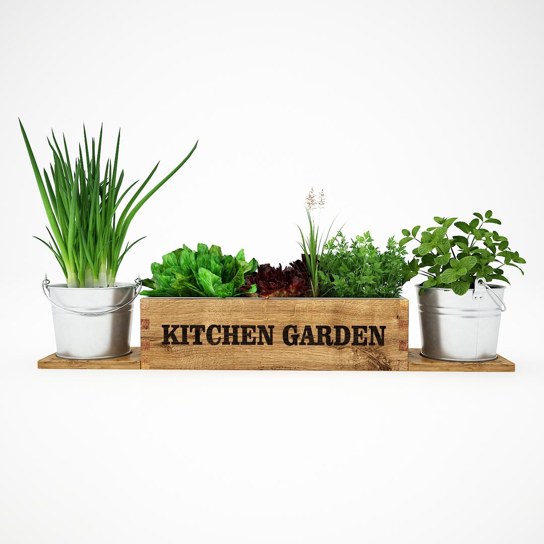 Kitchen Garden 3D Model - TurboSquid 1494305