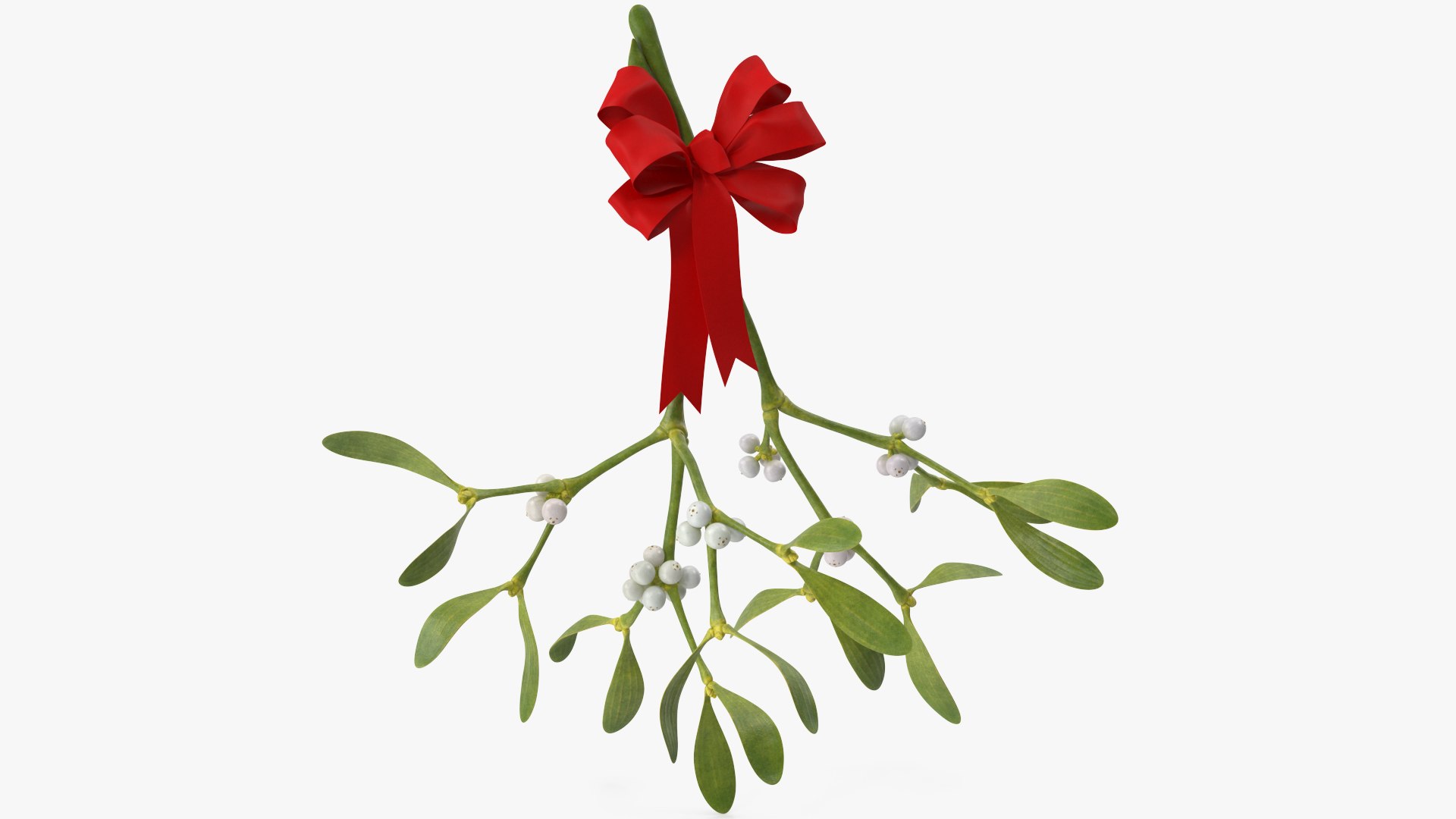 Mistletoe with Red Bow 3D model - TurboSquid 1804041