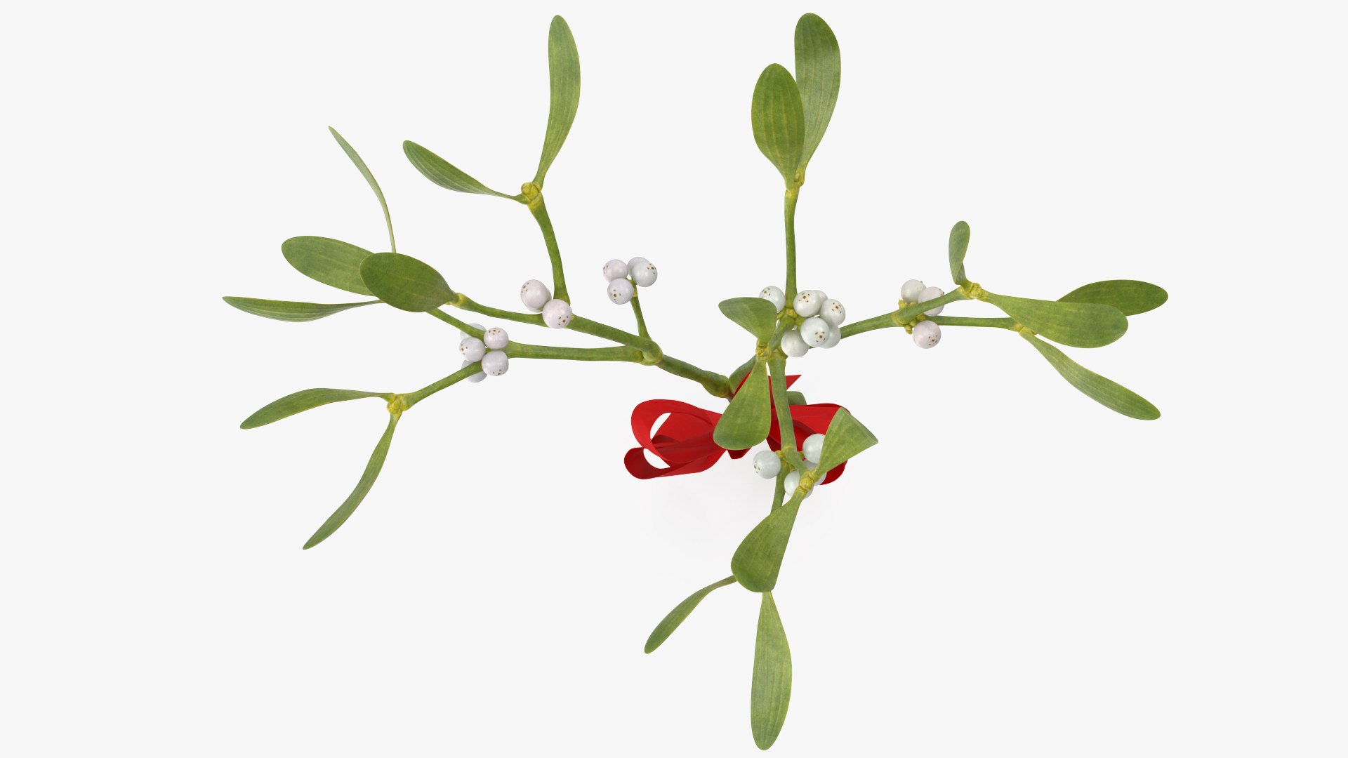 Mistletoe with Red Bow 3D model - TurboSquid 1804041
