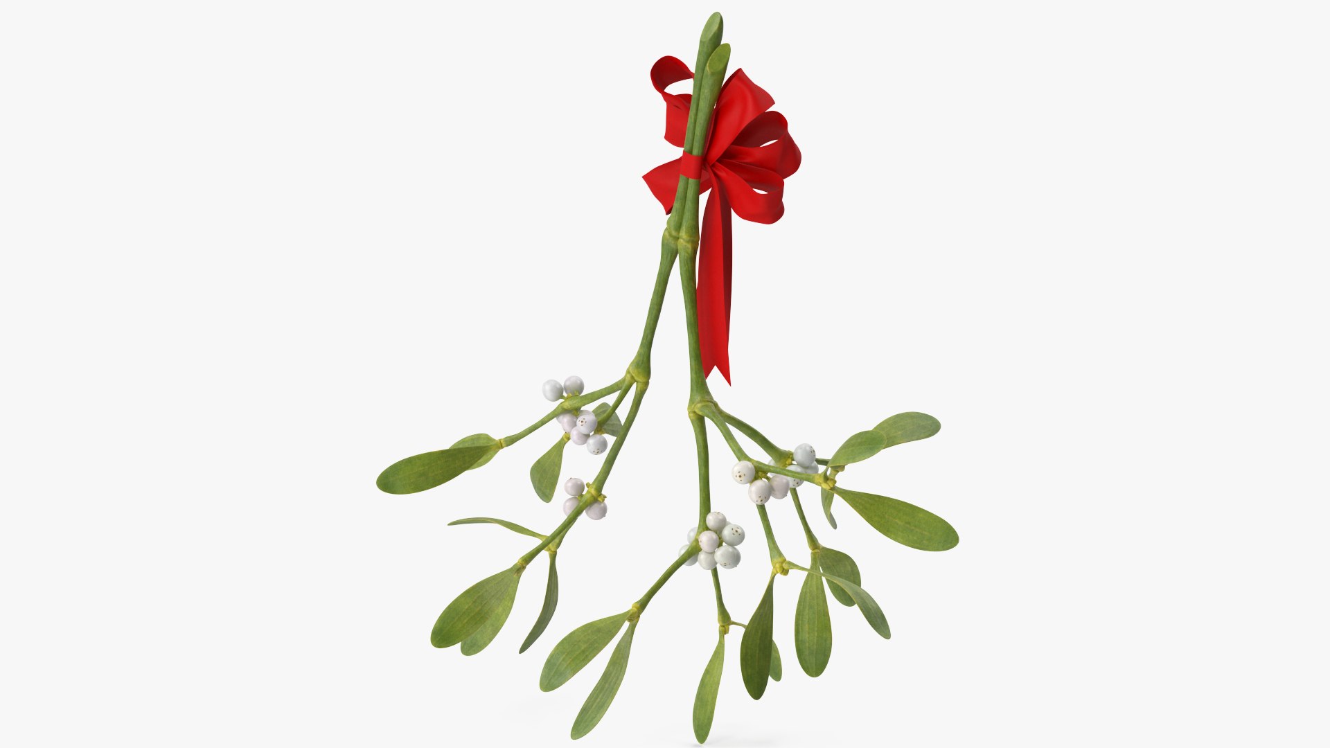 Mistletoe with Red Bow 3D model - TurboSquid 1804041