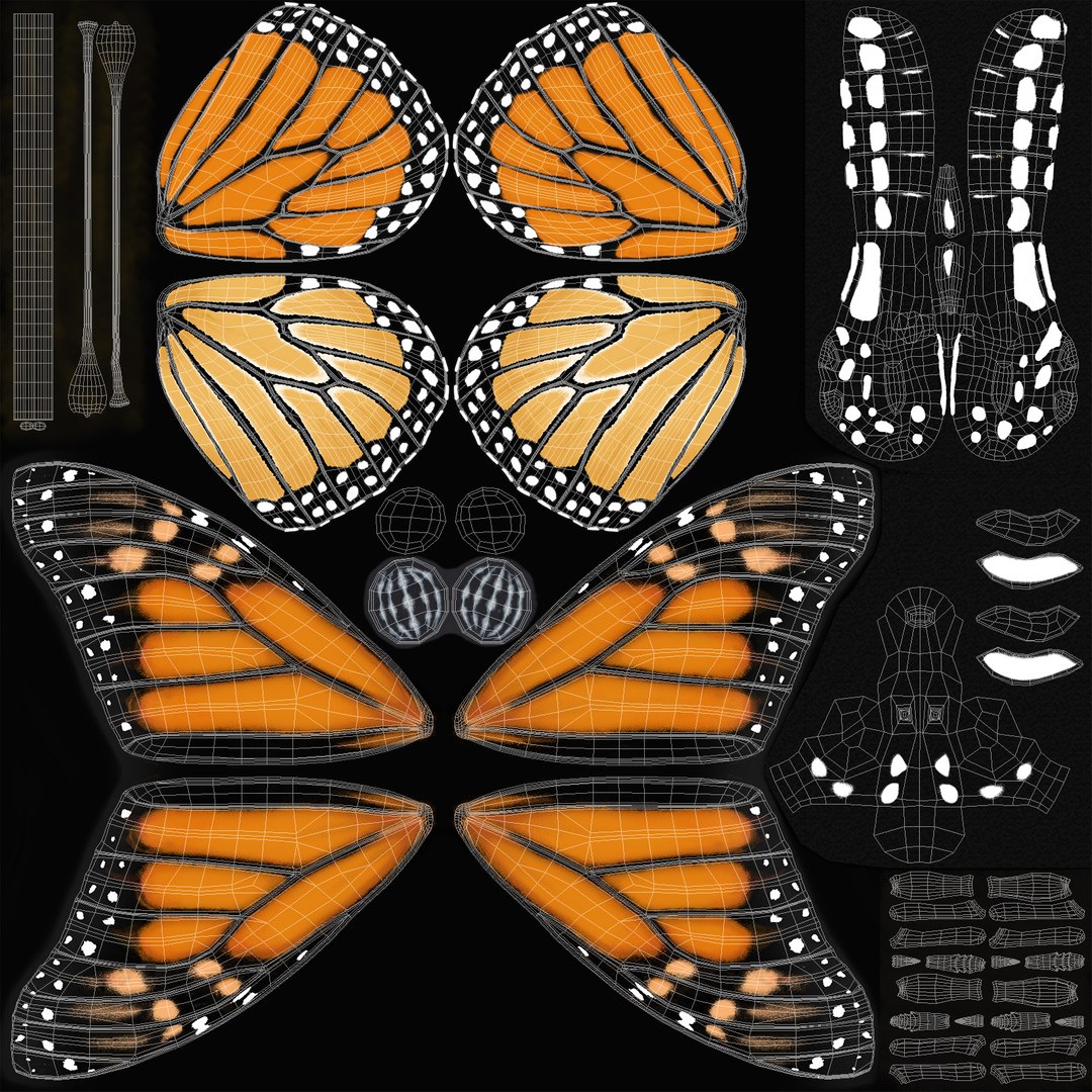 3d Model Monarch Butterfly 03