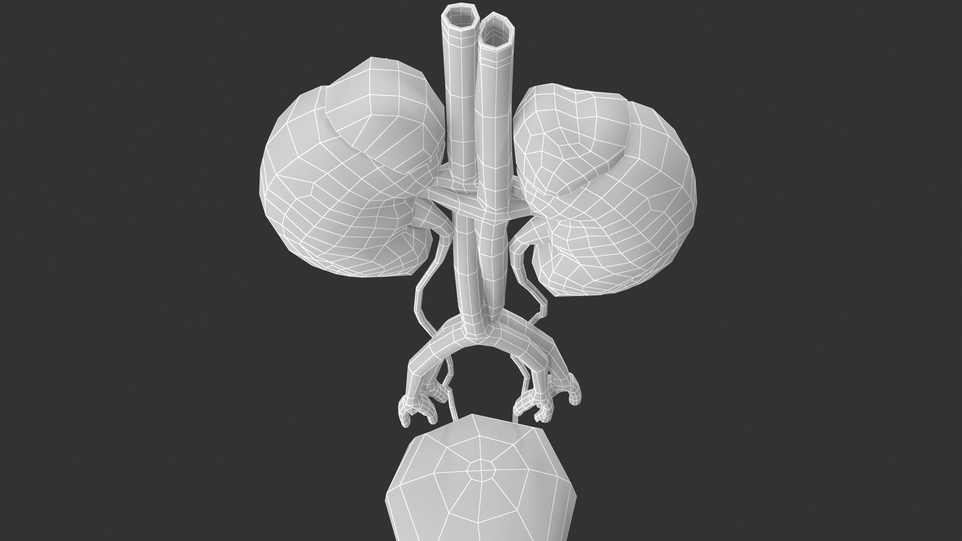 Urinary System Realistic 3D Model - TurboSquid 1784990