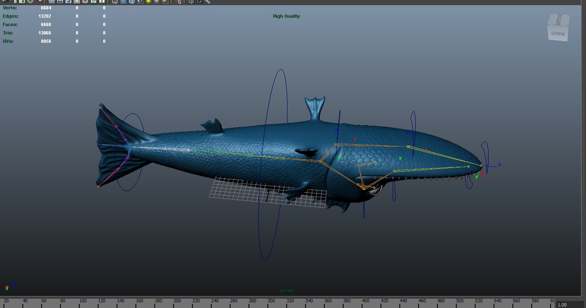 Barracuda 3d Model