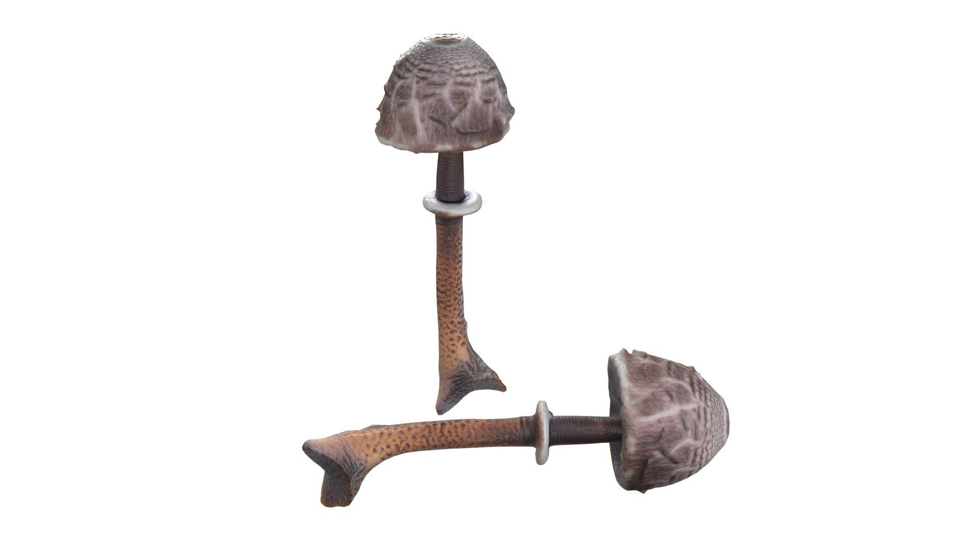 3D Mushroom 17 Model - TurboSquid 2384686