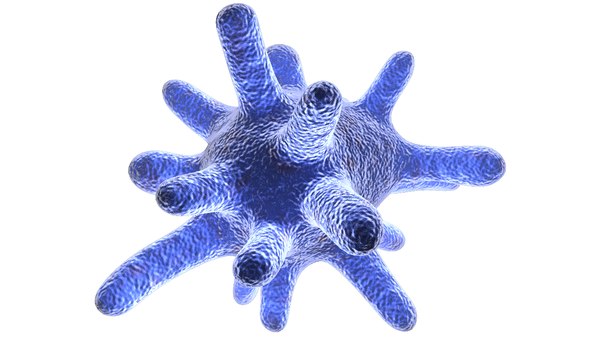 Macrophage 3D Models for Download | TurboSquid