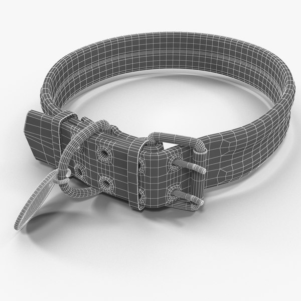 dog collar 3d max