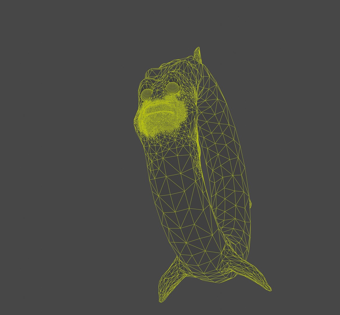 Fish Torus 3D Model - TurboSquid 1958769