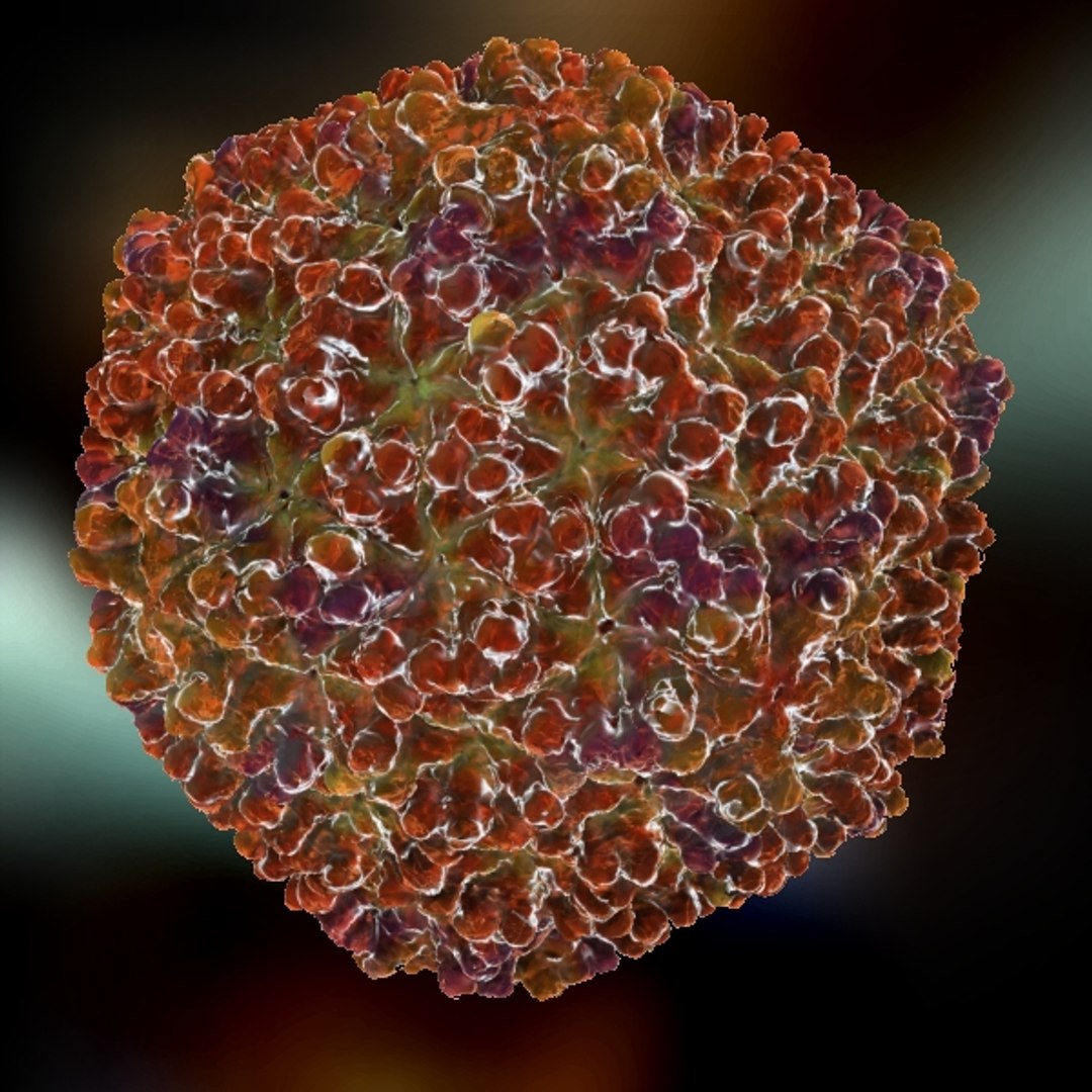 Max Bursal Disease Virus