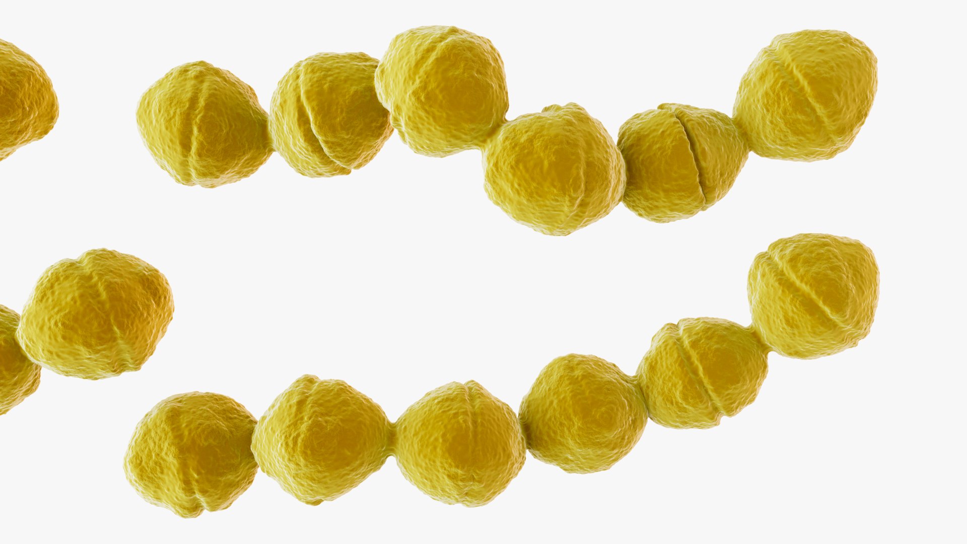 STSS Bacteria 3D - TurboSquid 2245500